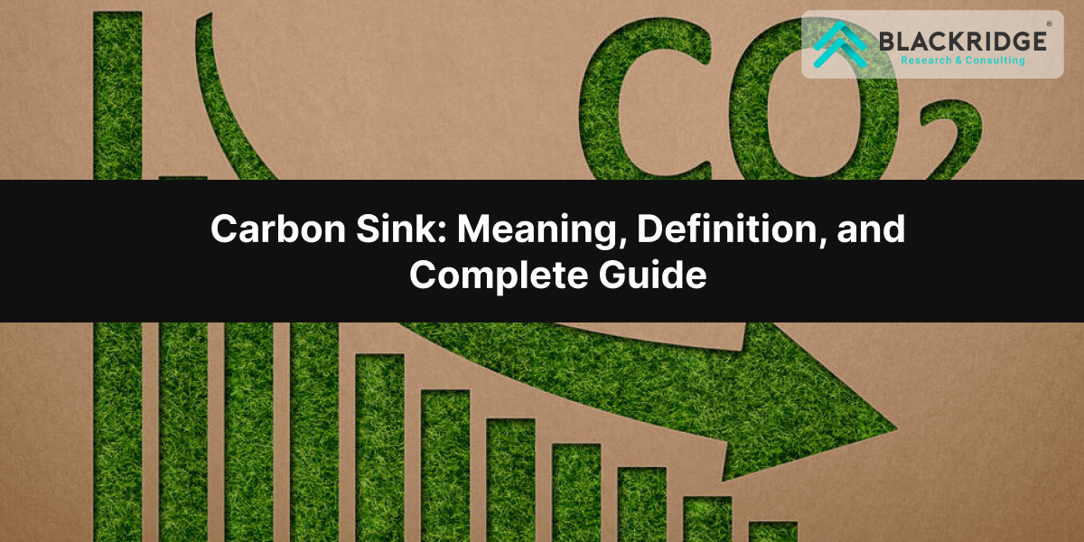 What is Carbon Sink? A Complete Guide