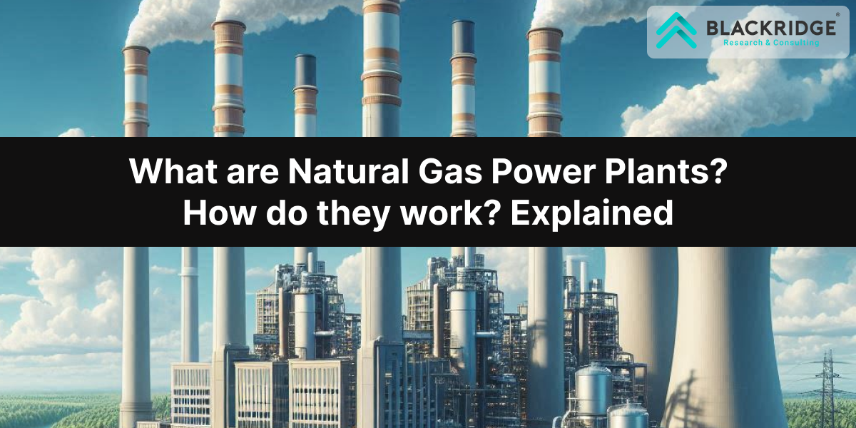 What are Natural Gas Power Plants? Explained